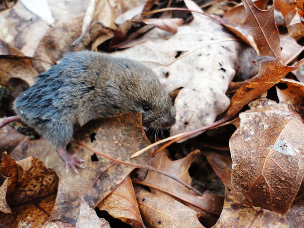 Salameandering: September 2013