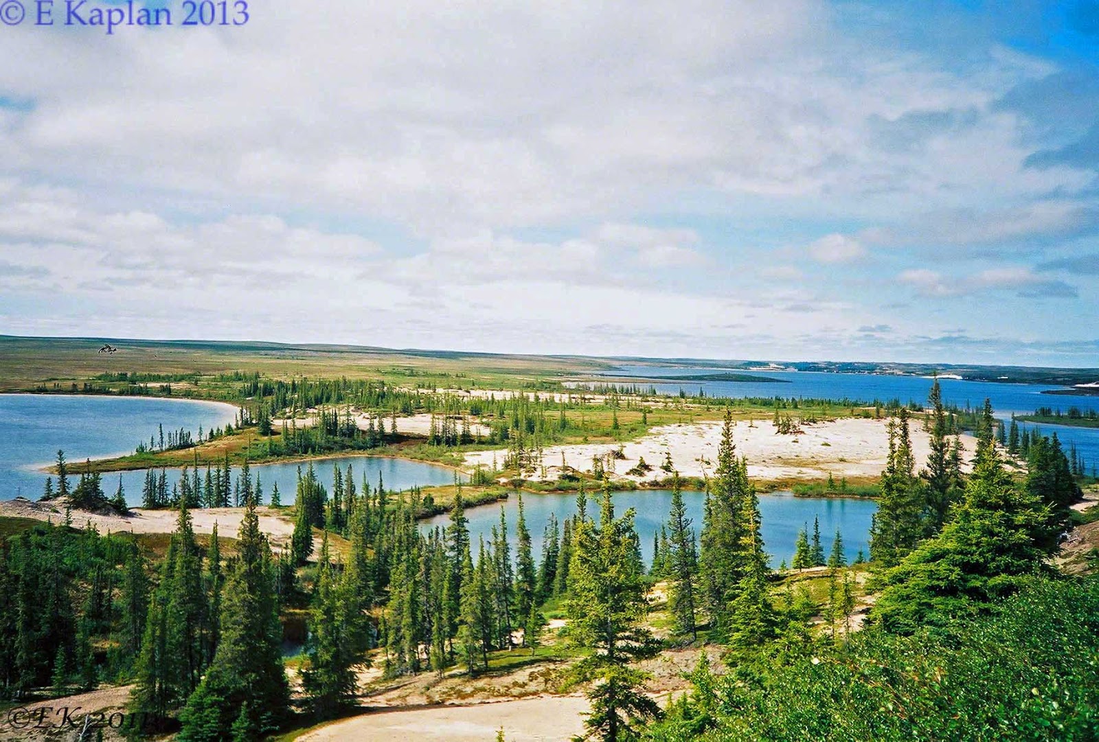 Arctic Fever: Adventure and Ordinary Travel Tips: Thelon River Wildlife ...