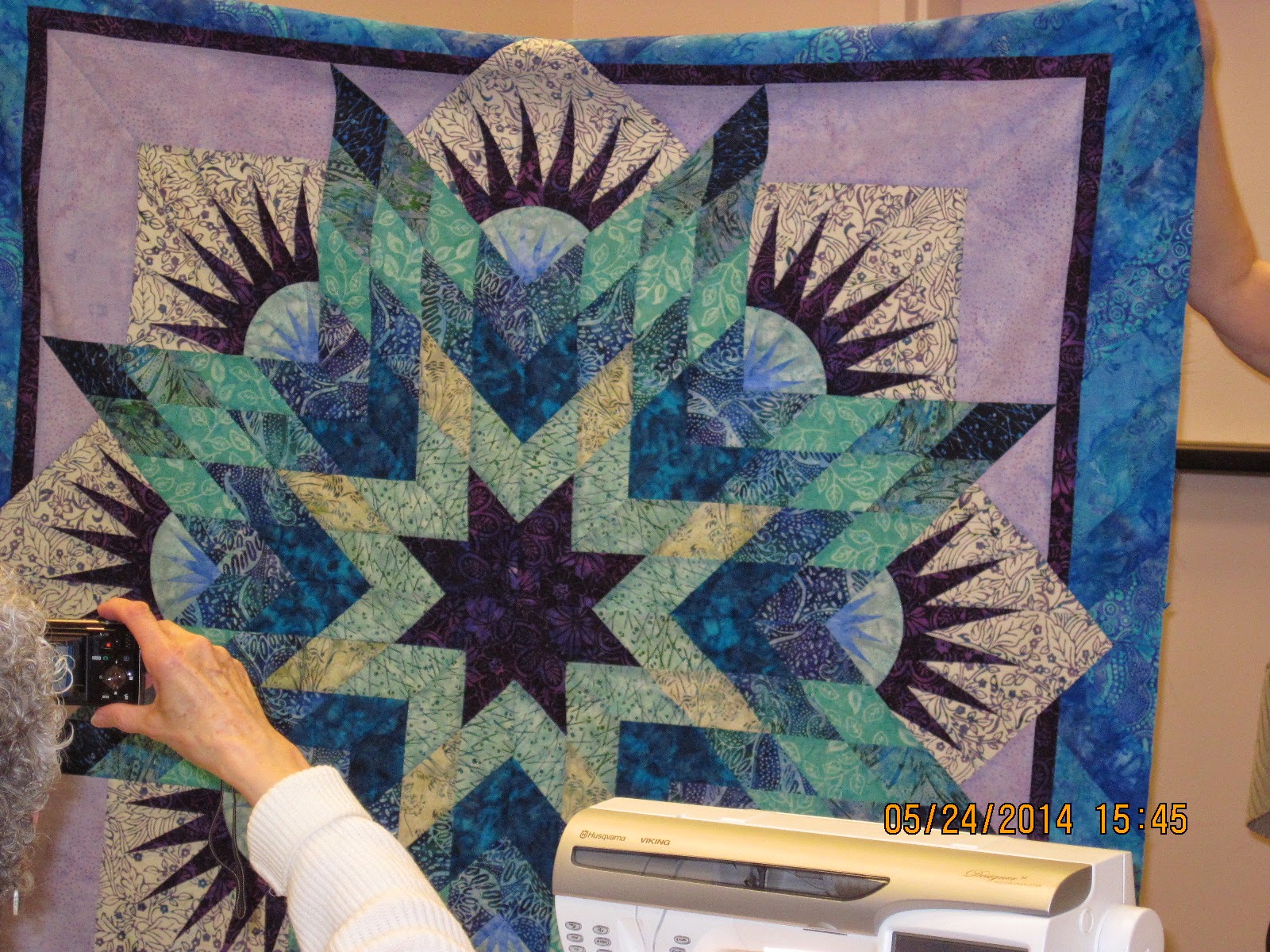 Lin's Quilts: Judy Niemeyer Quilt