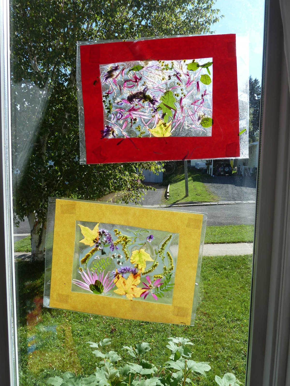 Preschool Line Up: Nature Exploration and a Cooking Curiousity - A ...