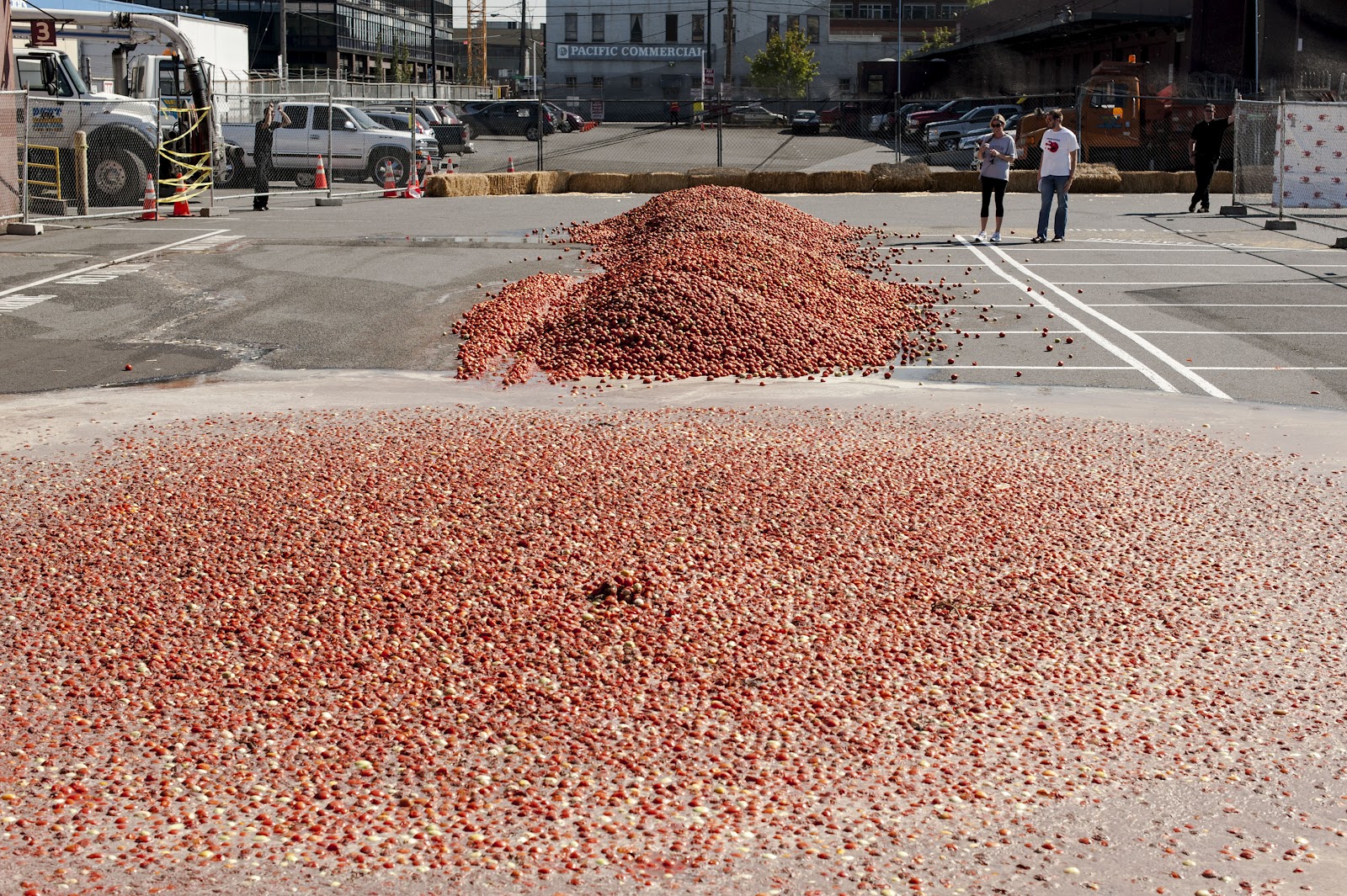 Alexander Chamas Photography: Seattle Tomato Battle