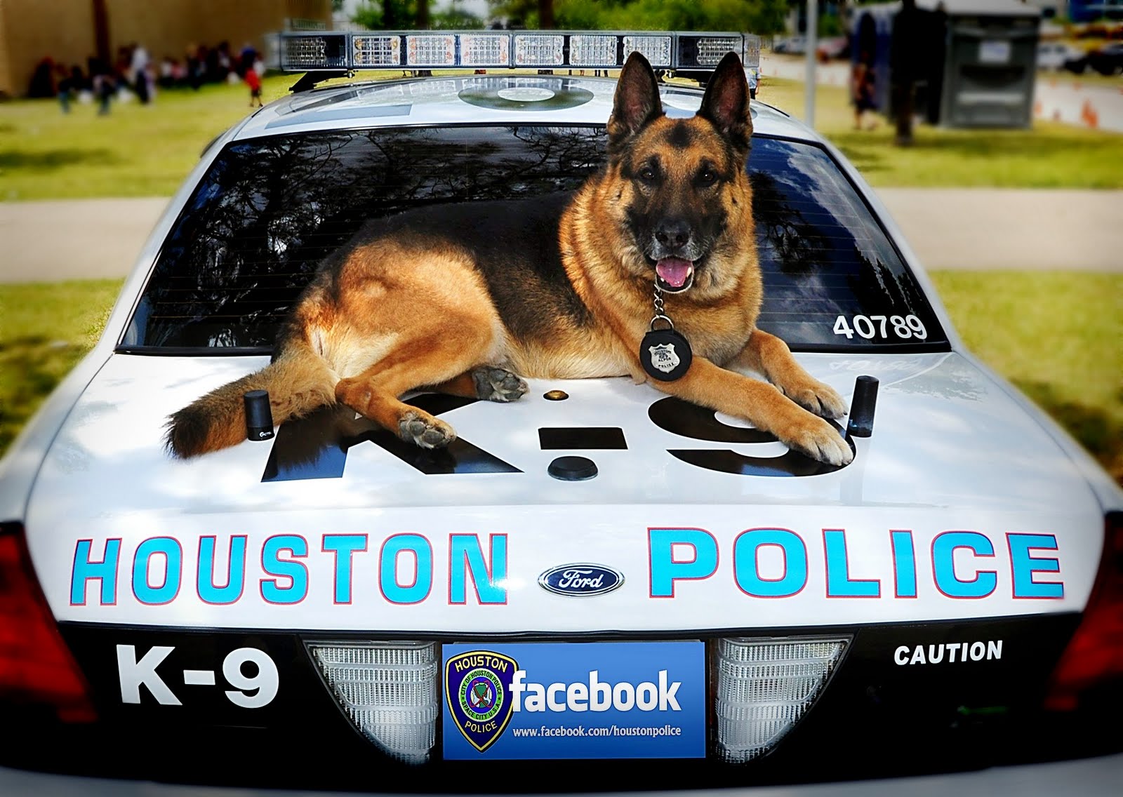 Houston Police Department: Alpos