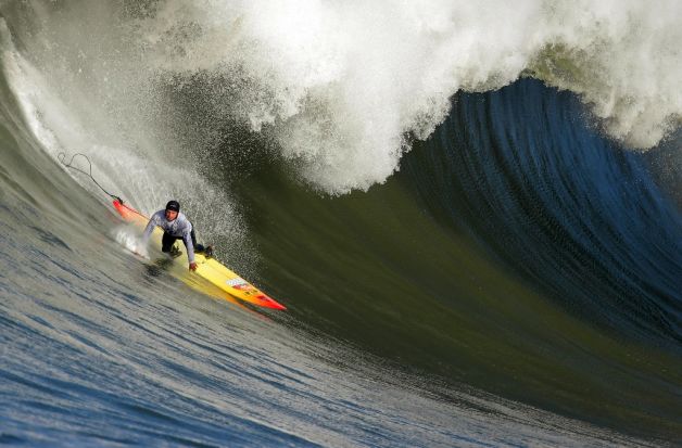 Offshore Winds: The Surfing Flea