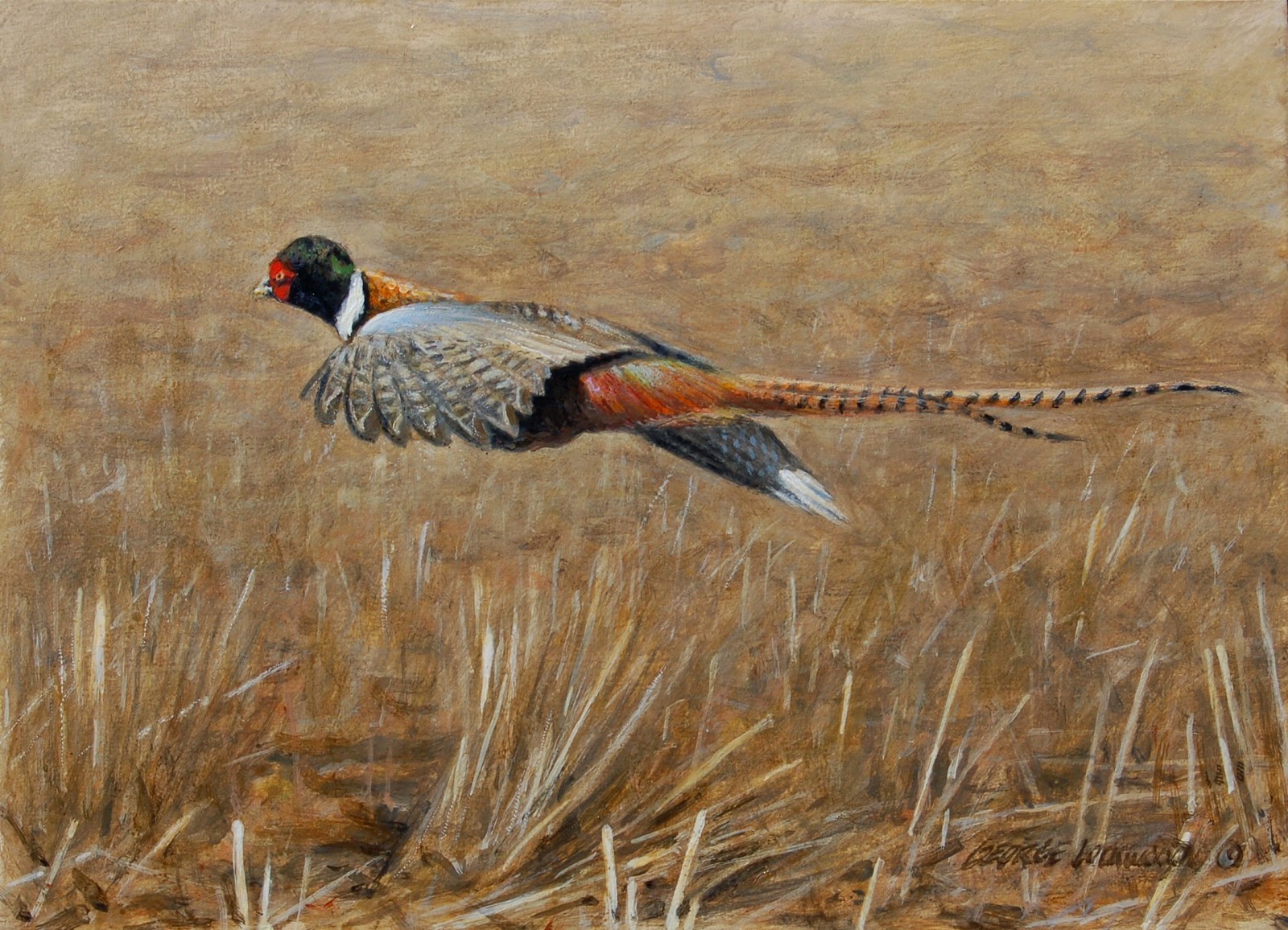 George Lockwood's Daily Paintings: On the Run - pheasant 5x7