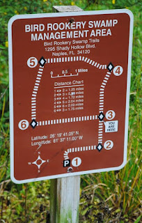 SewTawdry: Spring Break for Seniors