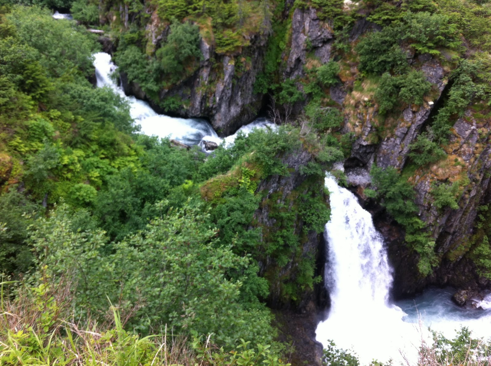 Life in Alaska — A View From Homer: Biking and Running Johnson Pass