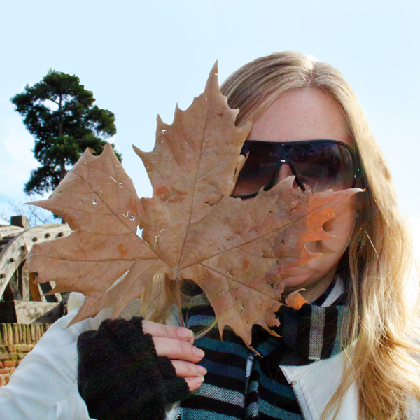 seasonal Style Fall In Love With These Fall Leaf Projects Blue I Style Creating An seasonal-style-fall-in-love-with-these-fall-leaf-projects-blue-i-style-creating-an