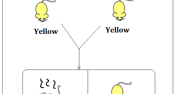 Study Genetics Online: Essential genes and lethal alleles