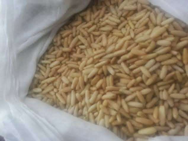 Pine Nuts from Pakistan