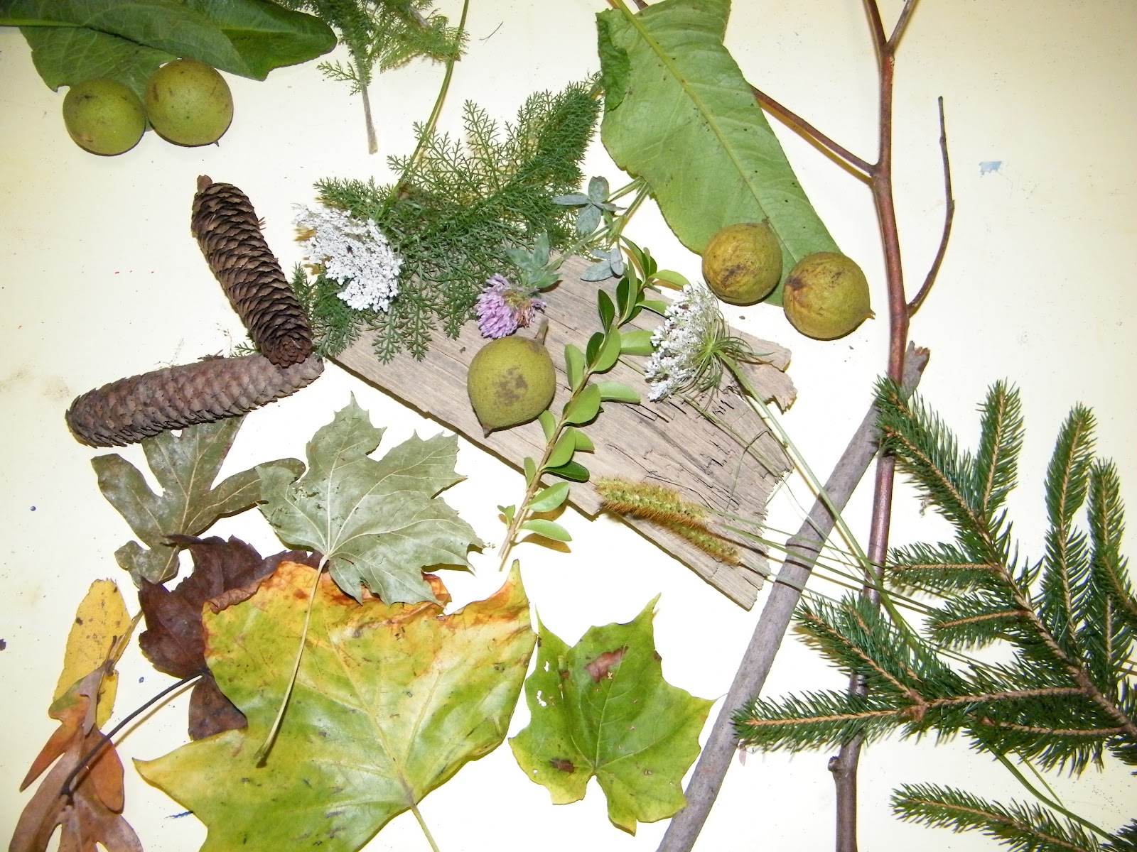 Adventures-In-Mommy-Land: Nathan's Nature Painting