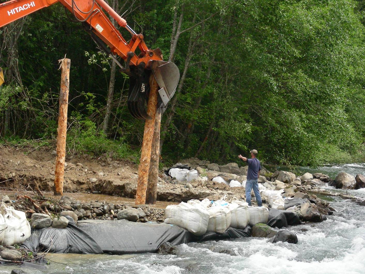 Word from the Wild: Restoration Complete for Puget Sound Energy Spill