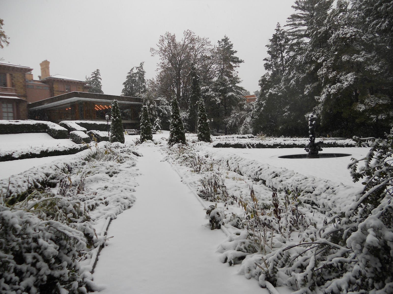 Nature Photography: First Snow at Princeton