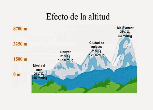 Altitud y Cercanía al mar -Emilia Carrera #6: Altitud y Cercanía al mar