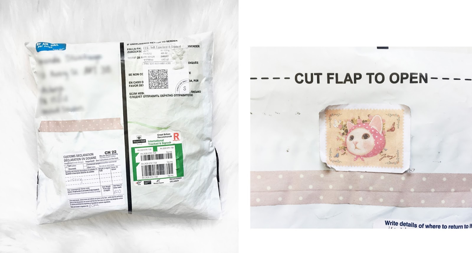 AmarieBunnie: My January & February purchases