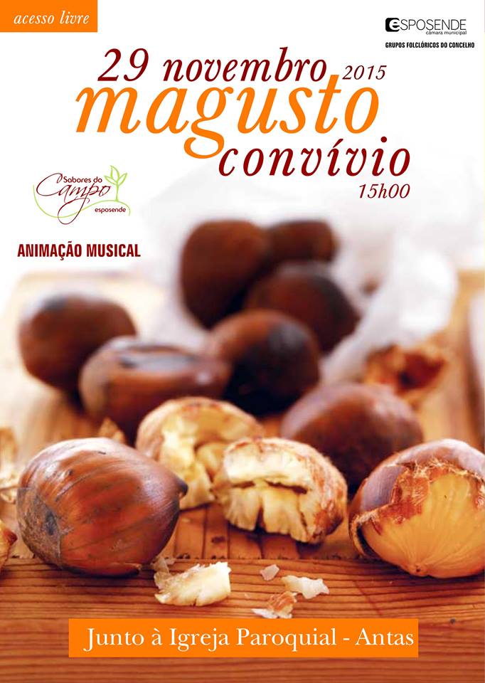 Magusto | Marinhas Online