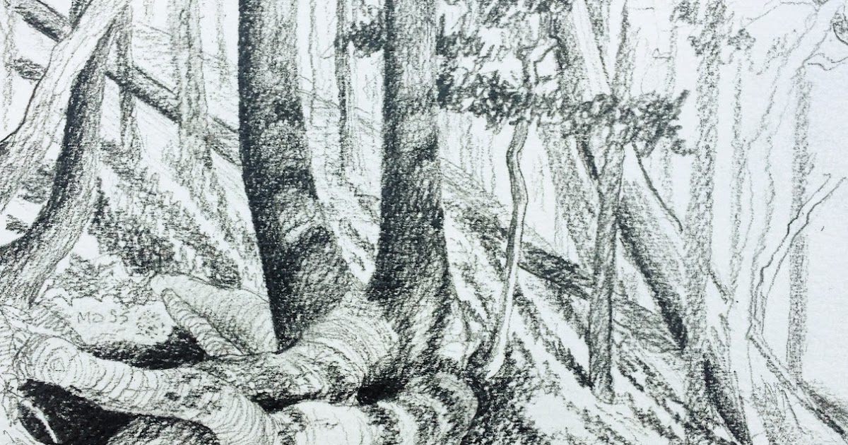 Middlewood Journal Tulip Poplar Roots