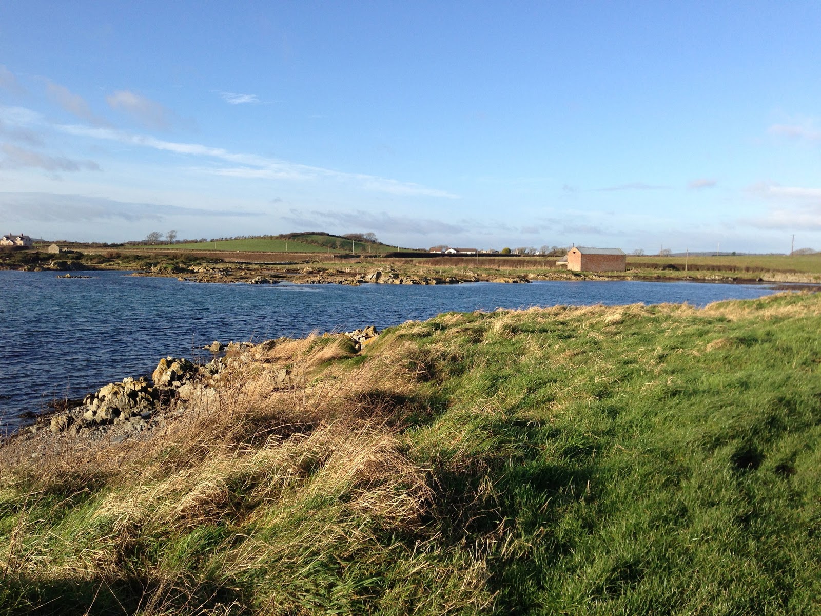 Patch Birding Ireland: Ballyquintin point, early January