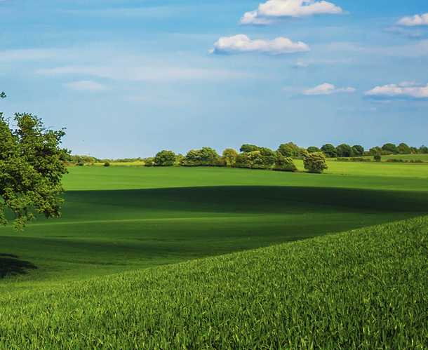 Lexi Weng's Blog: February 2014