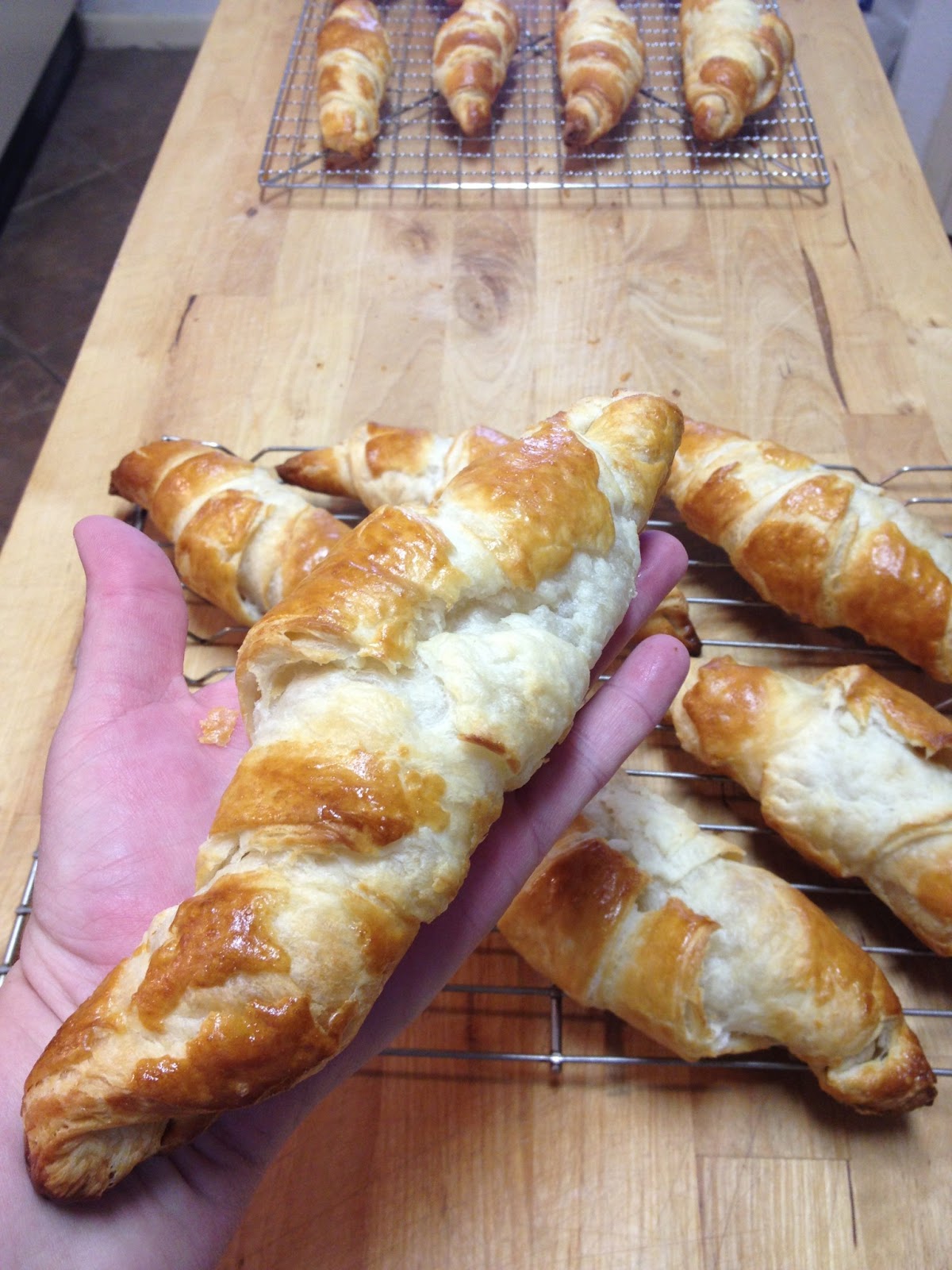 Tracy Cooks in Austin: Croissant method slideshow...