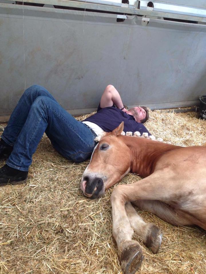 Show Reports 2016 - Part 2: 1 of 4 - Dressage Hafl