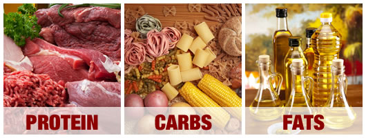 Protein - Carbs - Fats | GymAndHealth.com