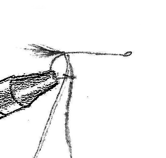 Fly Fishing with Doug Stewart: The Highly Acclaimed Black Ghost ...