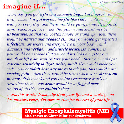 ME Awareness: Words and Pictures: English