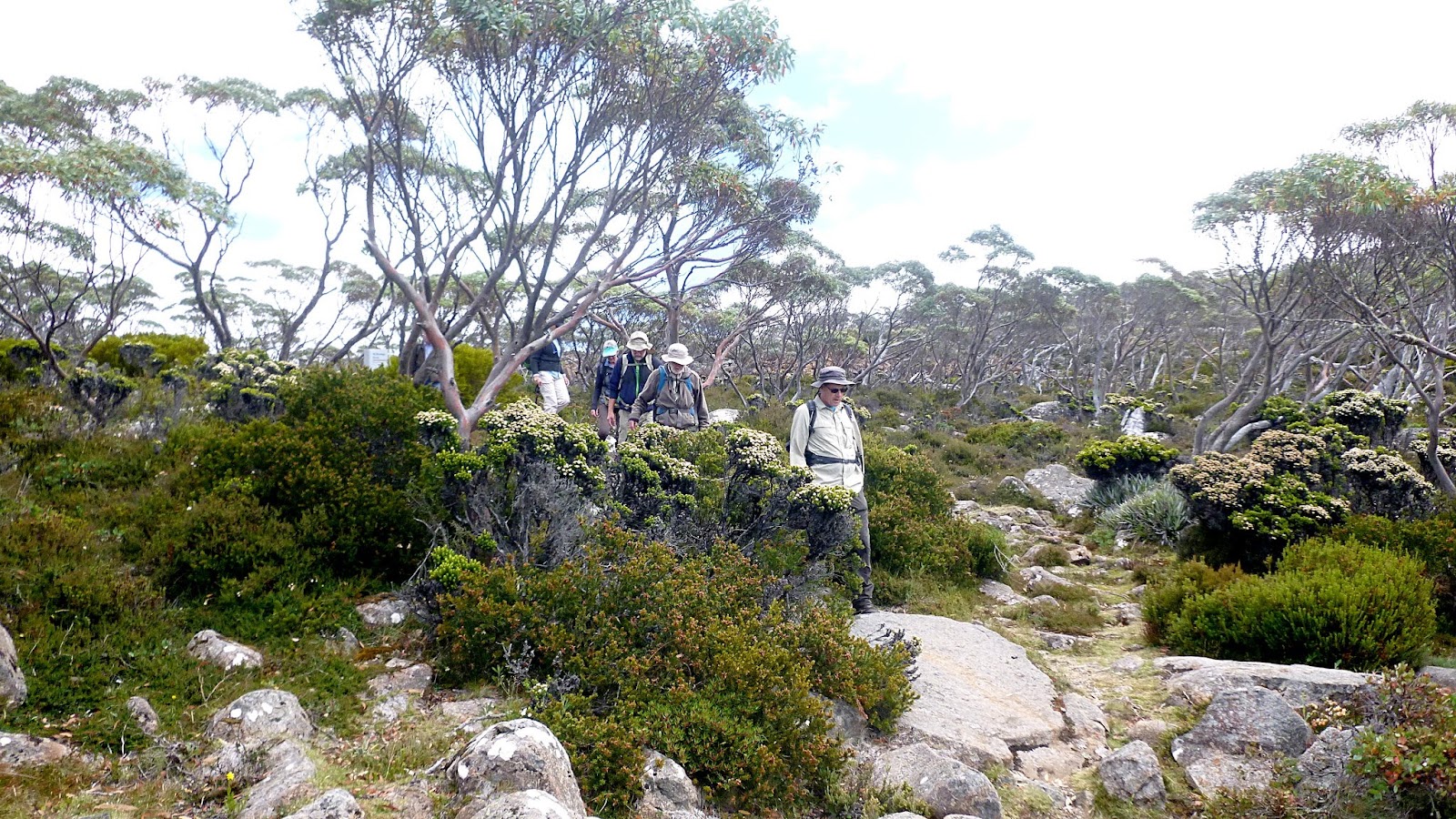 Ramblings: Thark Ridge 2017