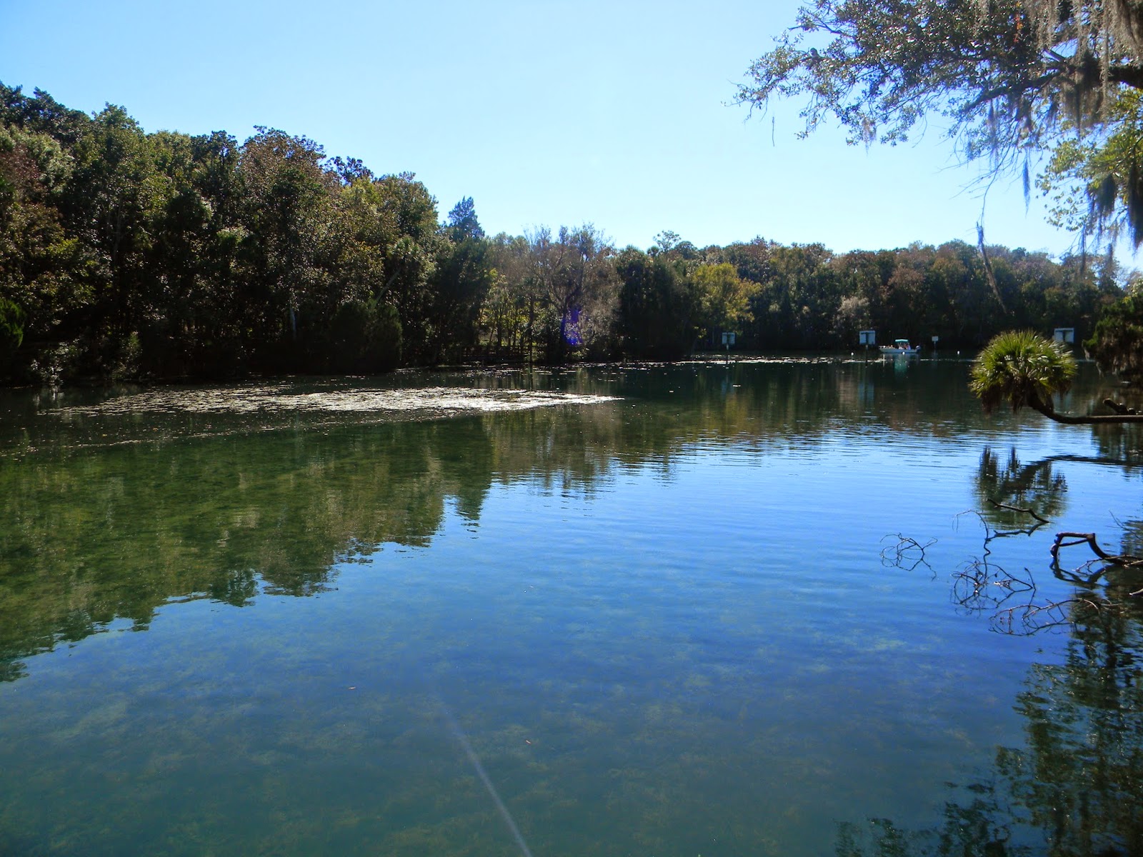 The "Unknown" Florida: Homosassa Springs State Park - Homosassa, Fl