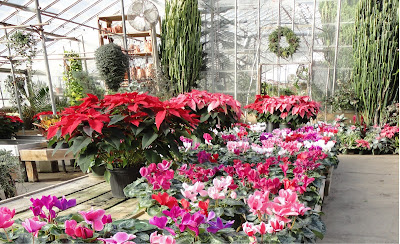 Inverbrook Farm: Chansonette Flowers & Art and Chadds Ford Greenhouses ...