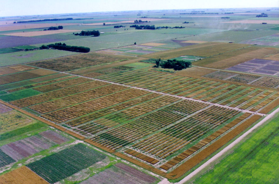 muriel en la escuela: Formas de relieve continental