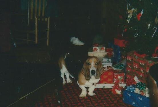 More Memories of Fred