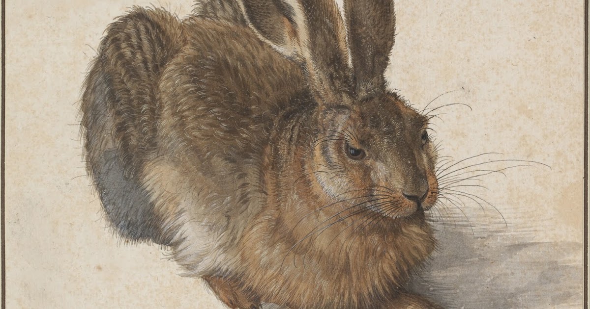 Old Masters Rock: THE EMPEROR’S HARE BY ALBRECHT DÜRER