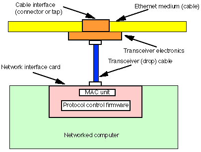 Computer Science Learners: Computer Networks