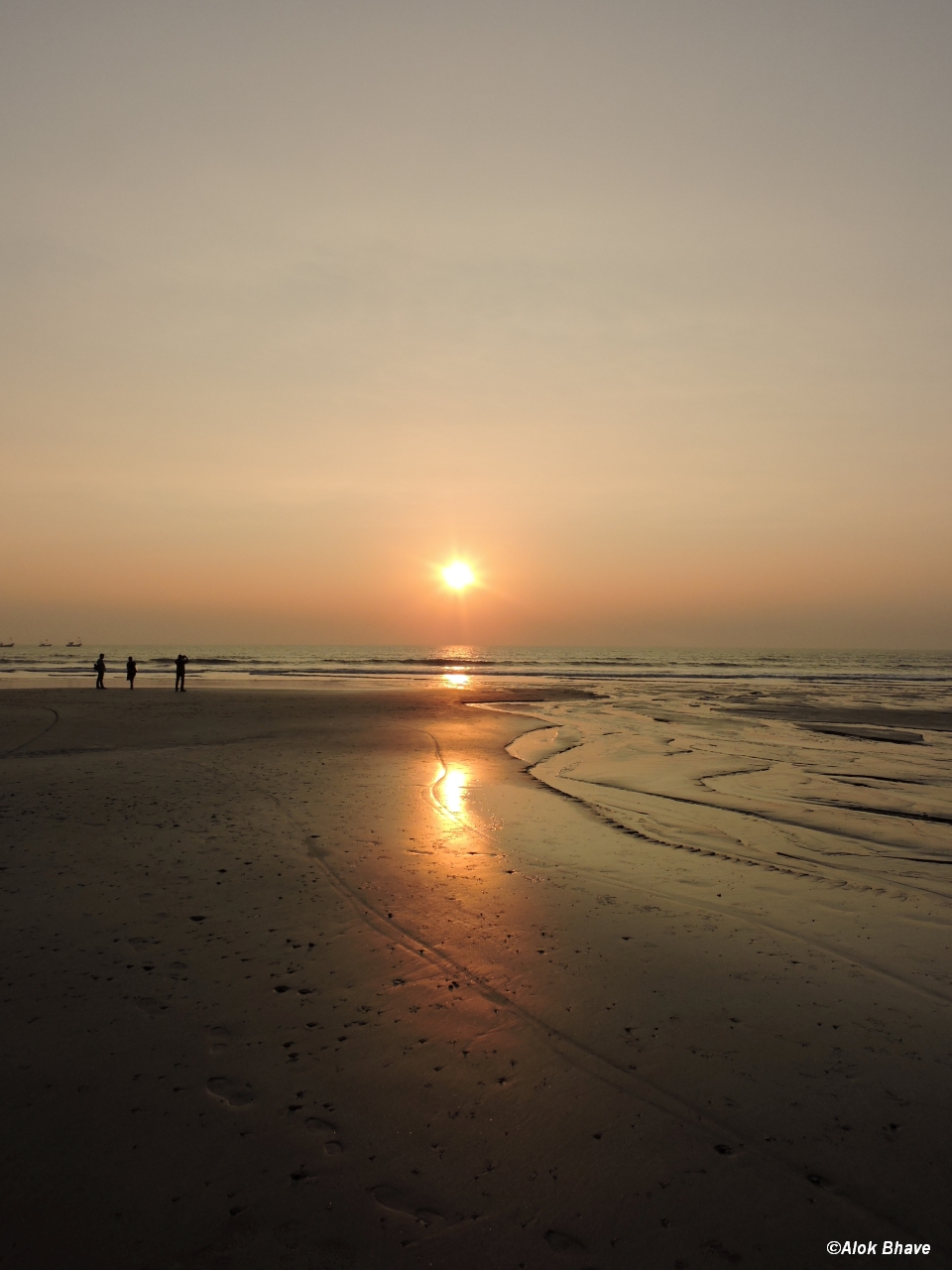 Nature watch: 2016-01-24-26-Kokan Trip