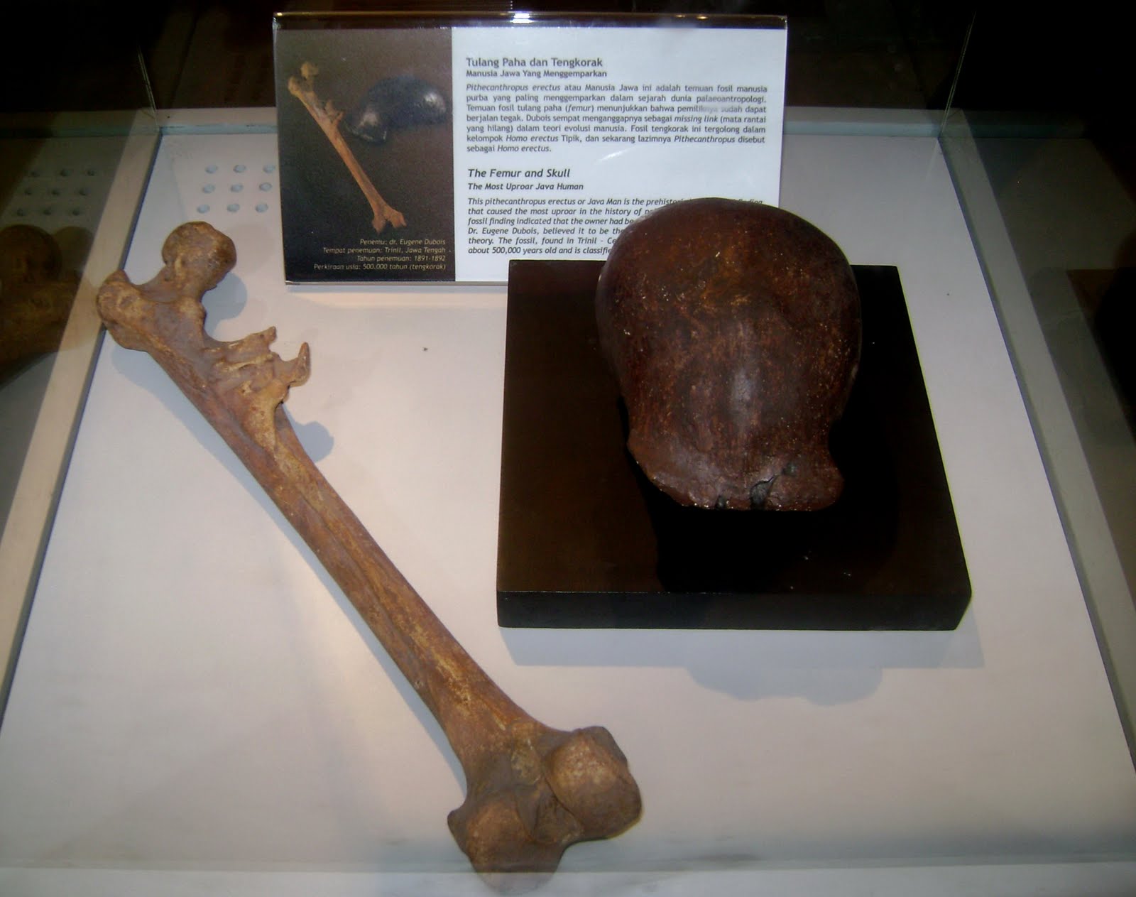 Traveling ala Panda: Ayo ke Museum Nasional (Gajah) … Part 2