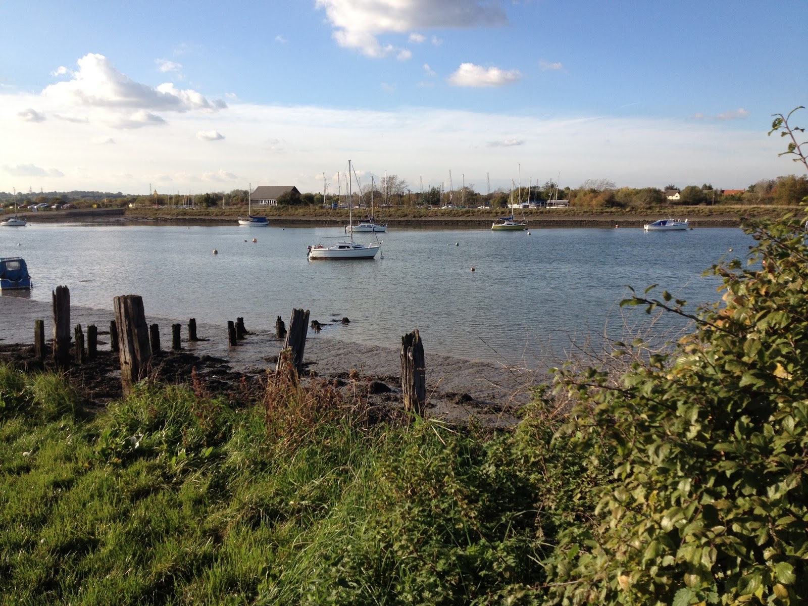 Bill's Log: More Photos of Hullbridge Riverside