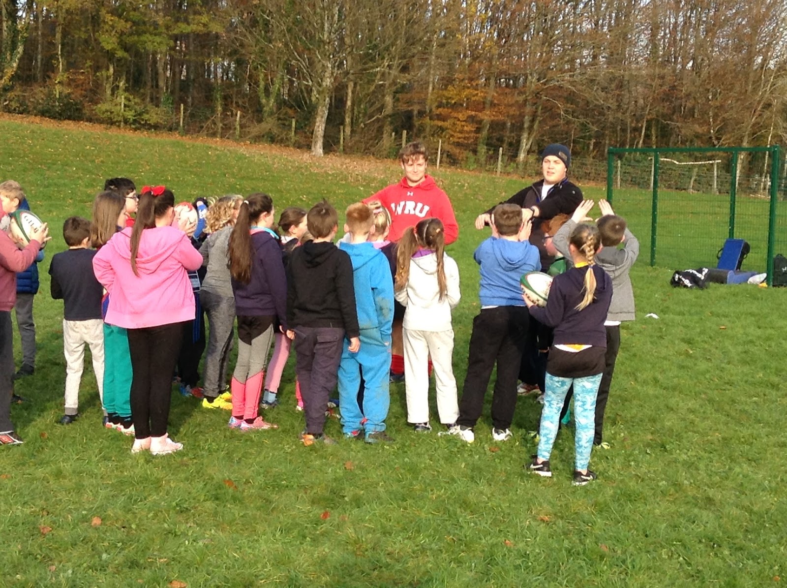 Llanharan Primary School Yr5/6: November 2016