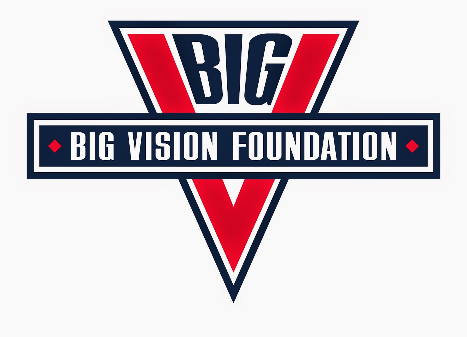 BIG Vision Foundation
