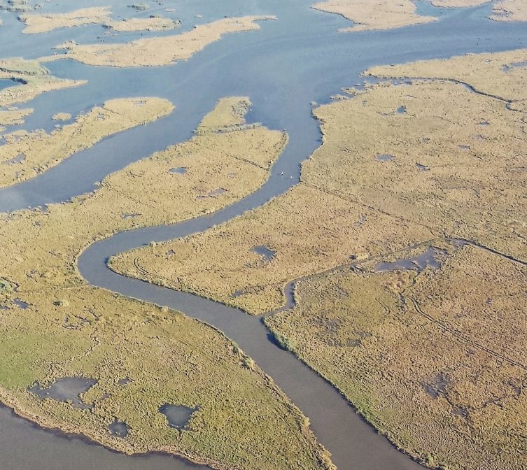 Maria Randolph, Artist: Marsh Island Tug