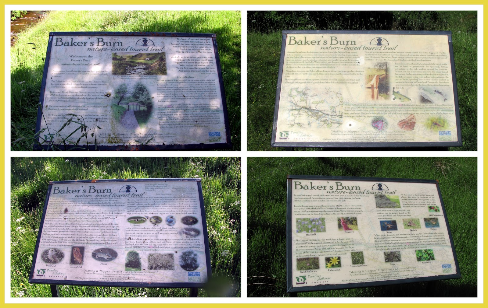 The Glebe Blog: Kirkland Hill, Kirkconnel