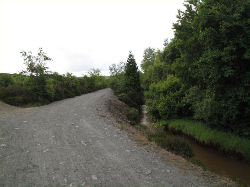 MONTS CORNWALL/KERNOW: TEHIDY WOODS & BISSOE NR
