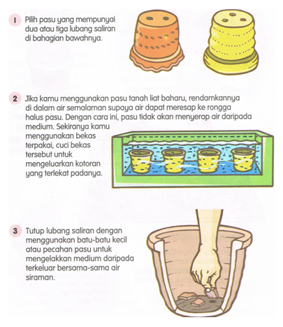 Hijau Bumi Tuhan: 3.0 Penanaman Pokok Tanaman Hiasan