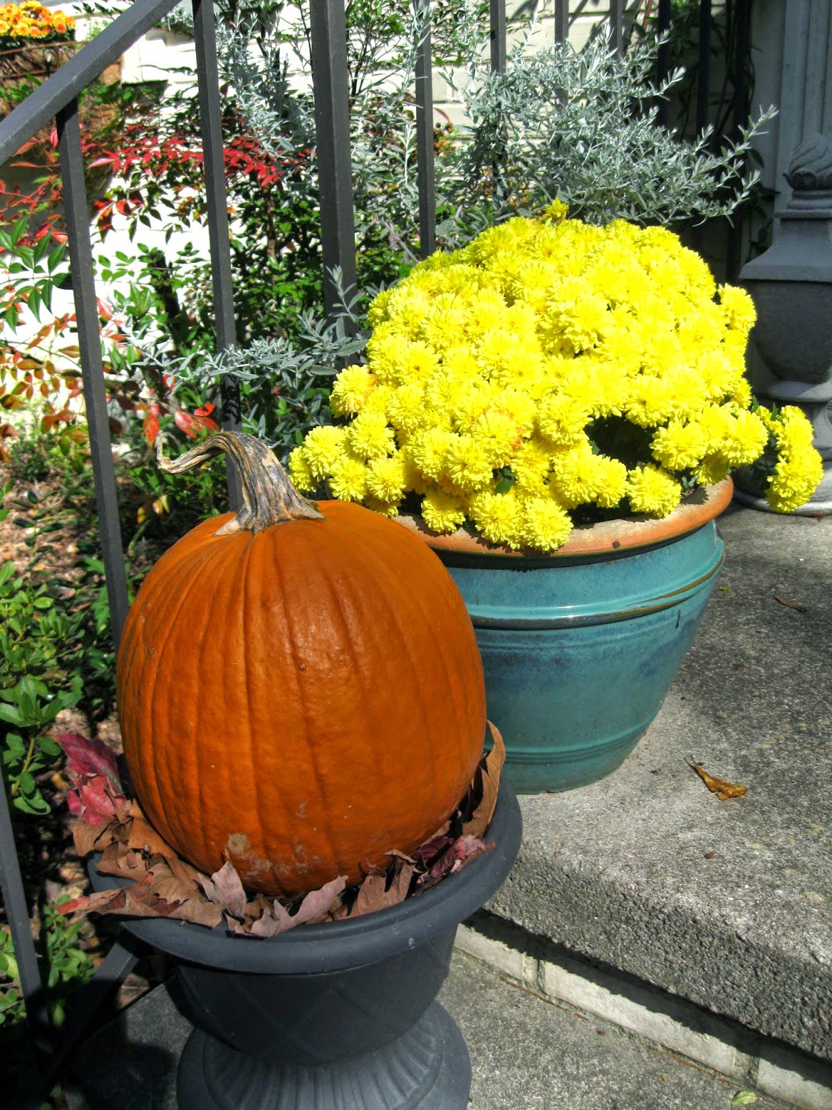 Donna's Art at Mourning Dove Cottage: The fall garden