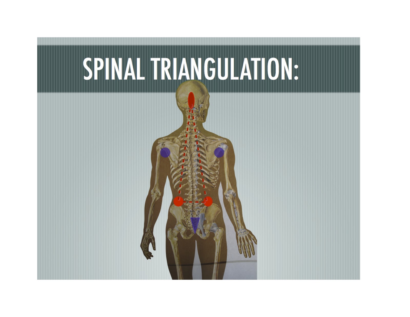 LEE BRANDON, CSCS: SPINAL TRIANGULATION®: Olympic Core Workout of Champions