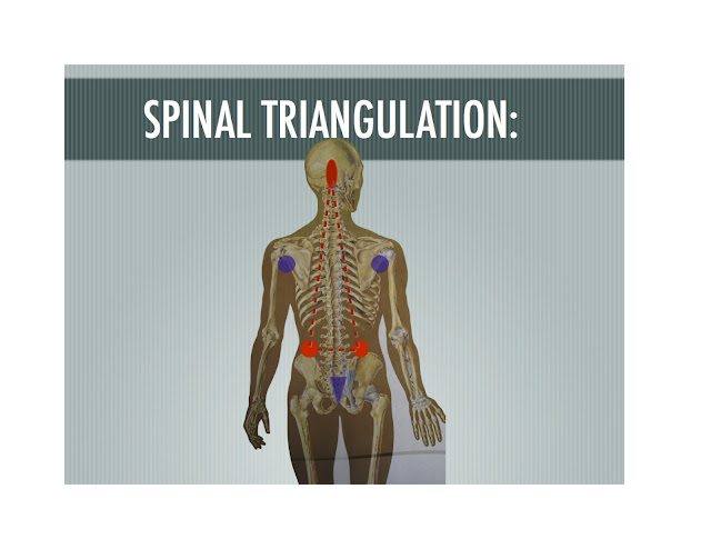 SPINAL TRIANGULATION®: Olympic Core Workout of Champions - Lee Brandon ...