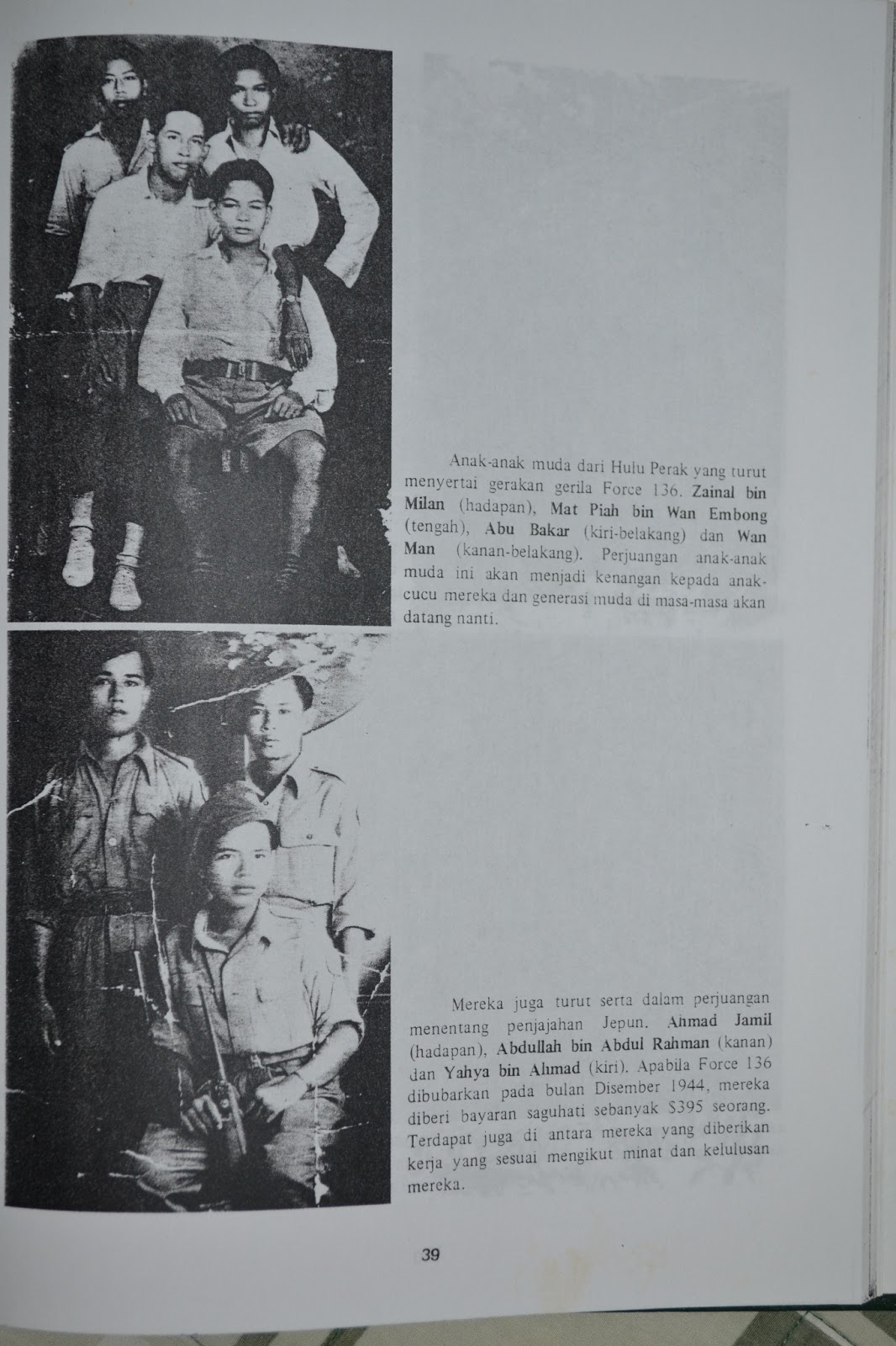 PEJUANG GERILA FORCE 136