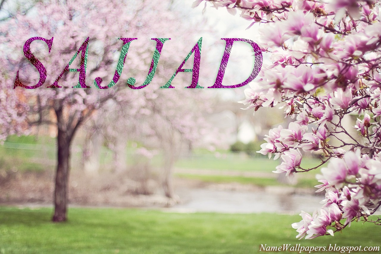 Sajjad Name Wallpapers Sajjad ~ Name Wallpaper Urdu Name Meaning Name ...