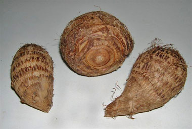 Arvi - Fruits And Vegetables