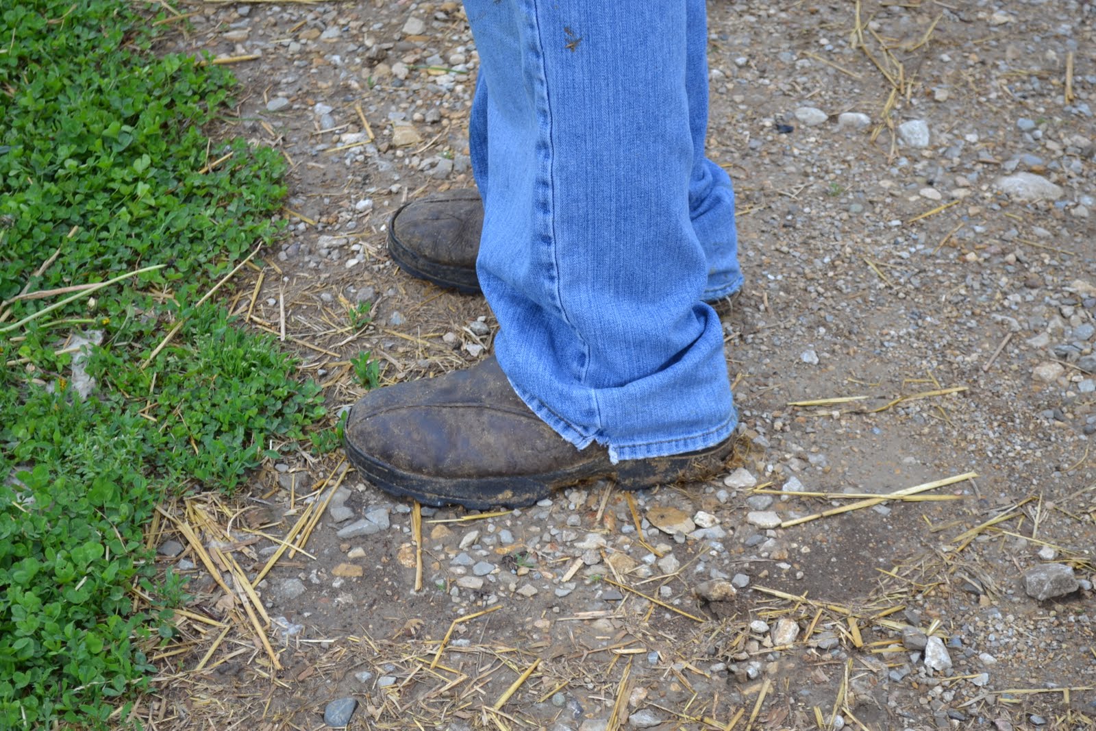 The life and times of a city girl gone country: Boots, Shoes and ...
